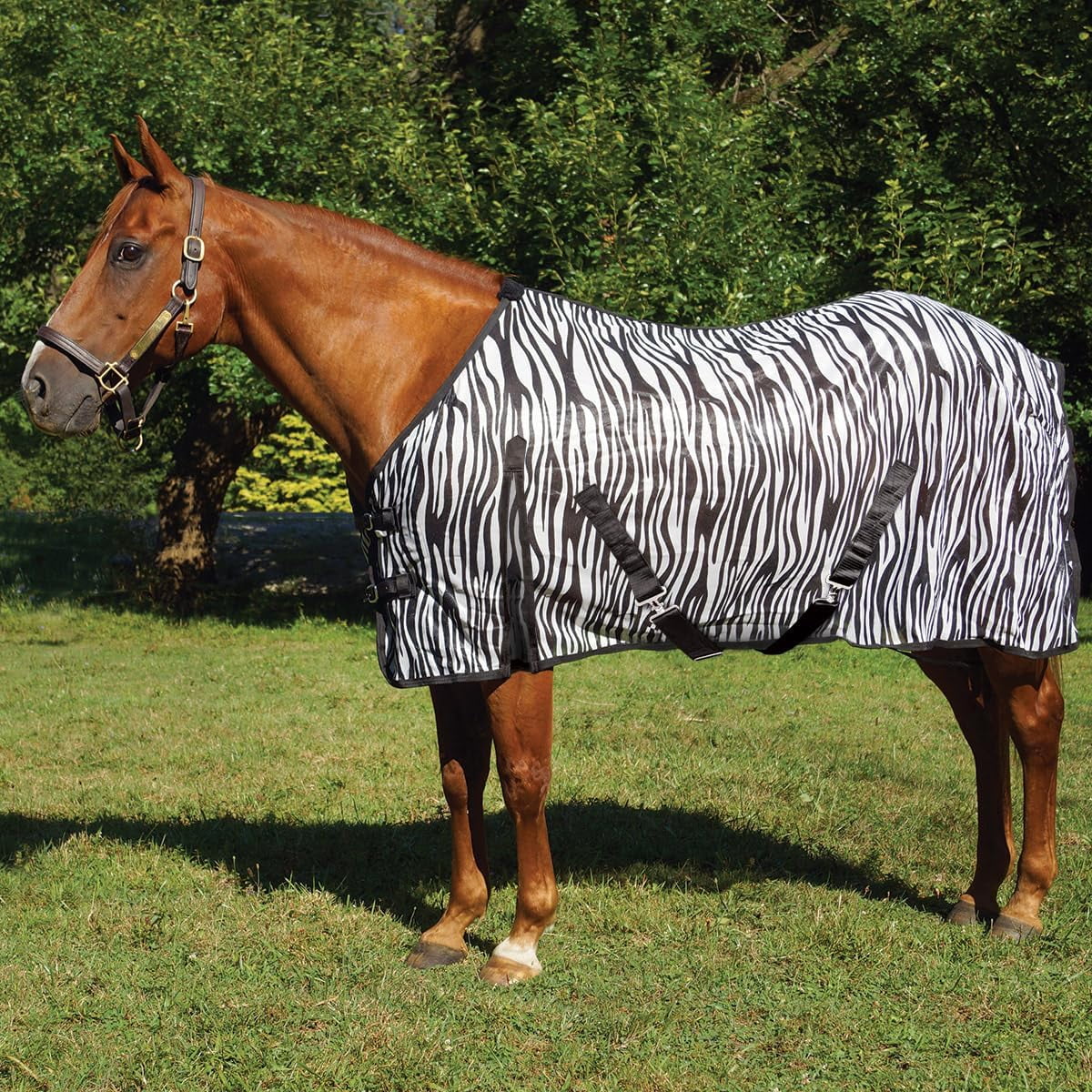 Party Soft Mesh Fly Sheet Zebra Print (78 in) - Walmart.com