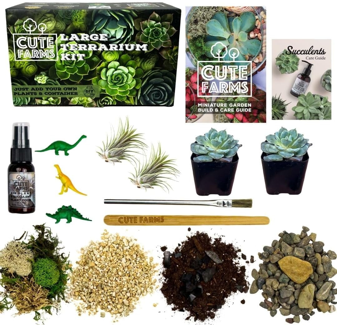 Party Terrarium Starter Kit | Moss, Vermiculite, Soil, Pebbles, Plant Food, Finishing Tools ...
