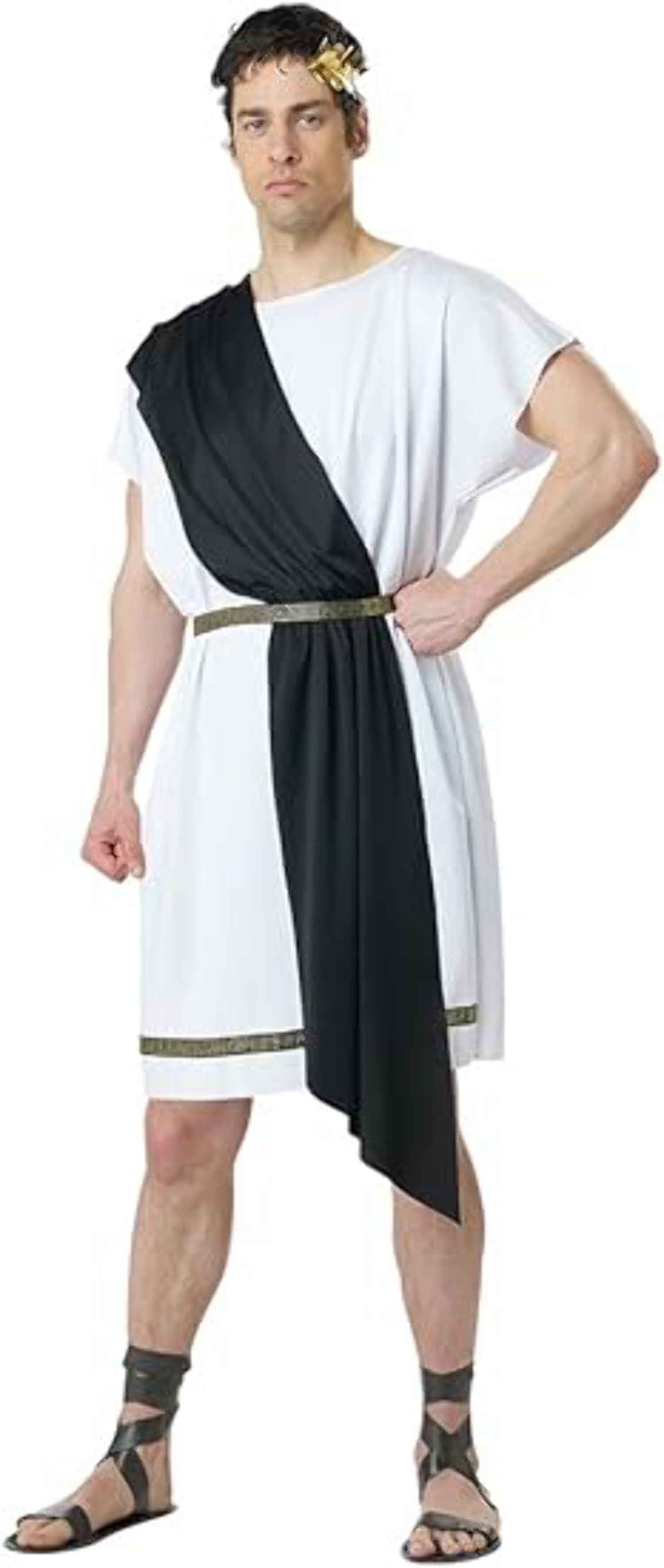 California Costumes Party Toga Adult Costume | Large/ X-Large Male ...