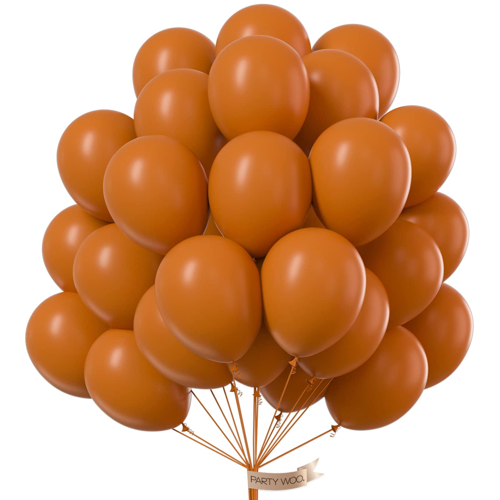PartyWoo Burnt OrangeEGSC Balloons 50 pcs 12 Inch Terracotta Rust Fall ...