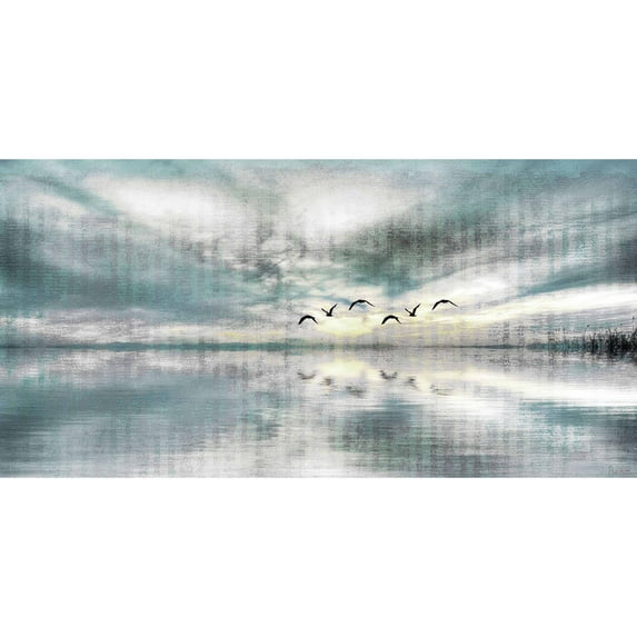 Parvez Taj Birds Skylight Art Print on Premium Canvas - Walmart.com