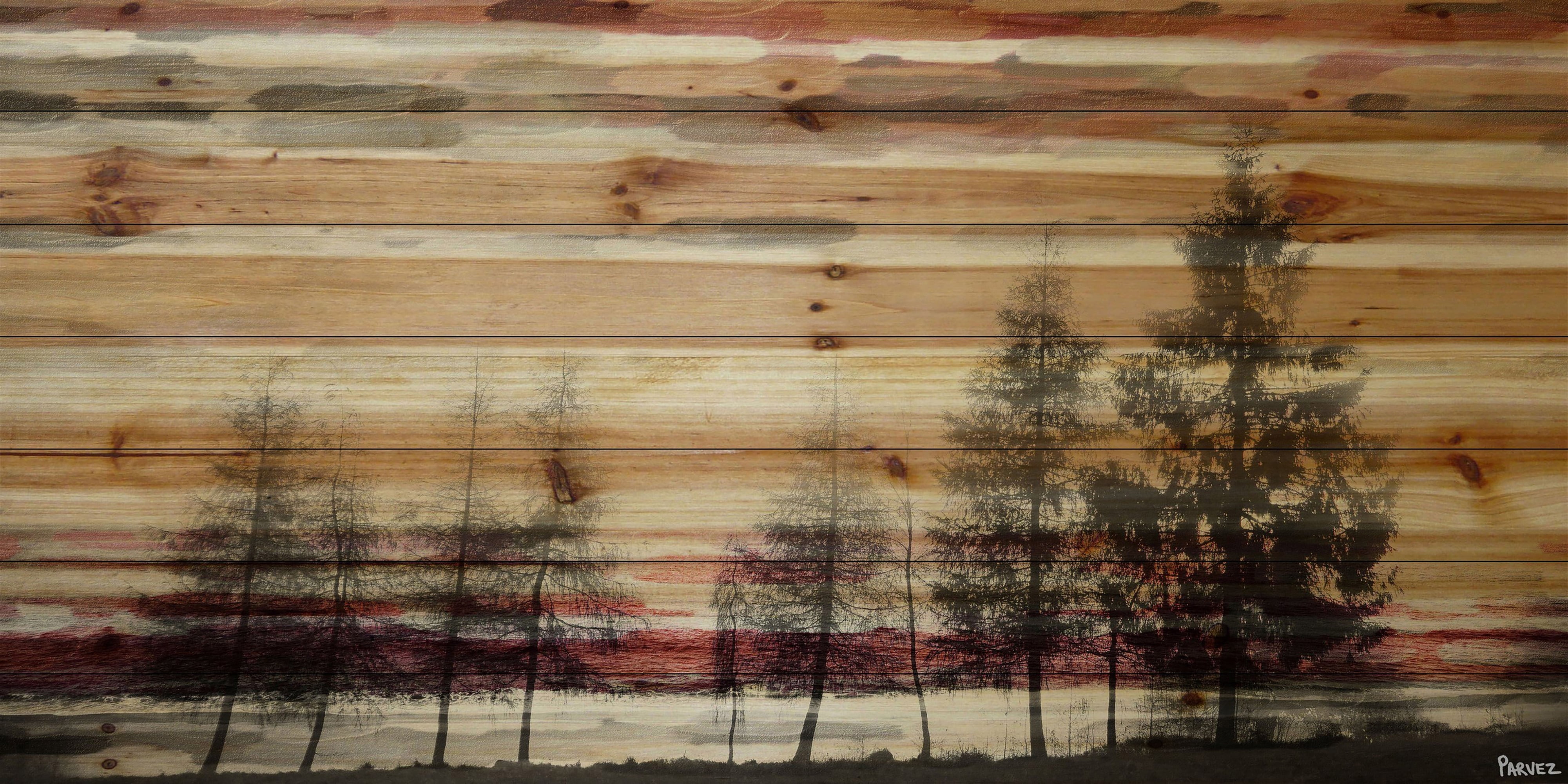 Parvez Taj Forest of Firs Art Pinewood Wall Art, 12" x 24" - Walmart ...