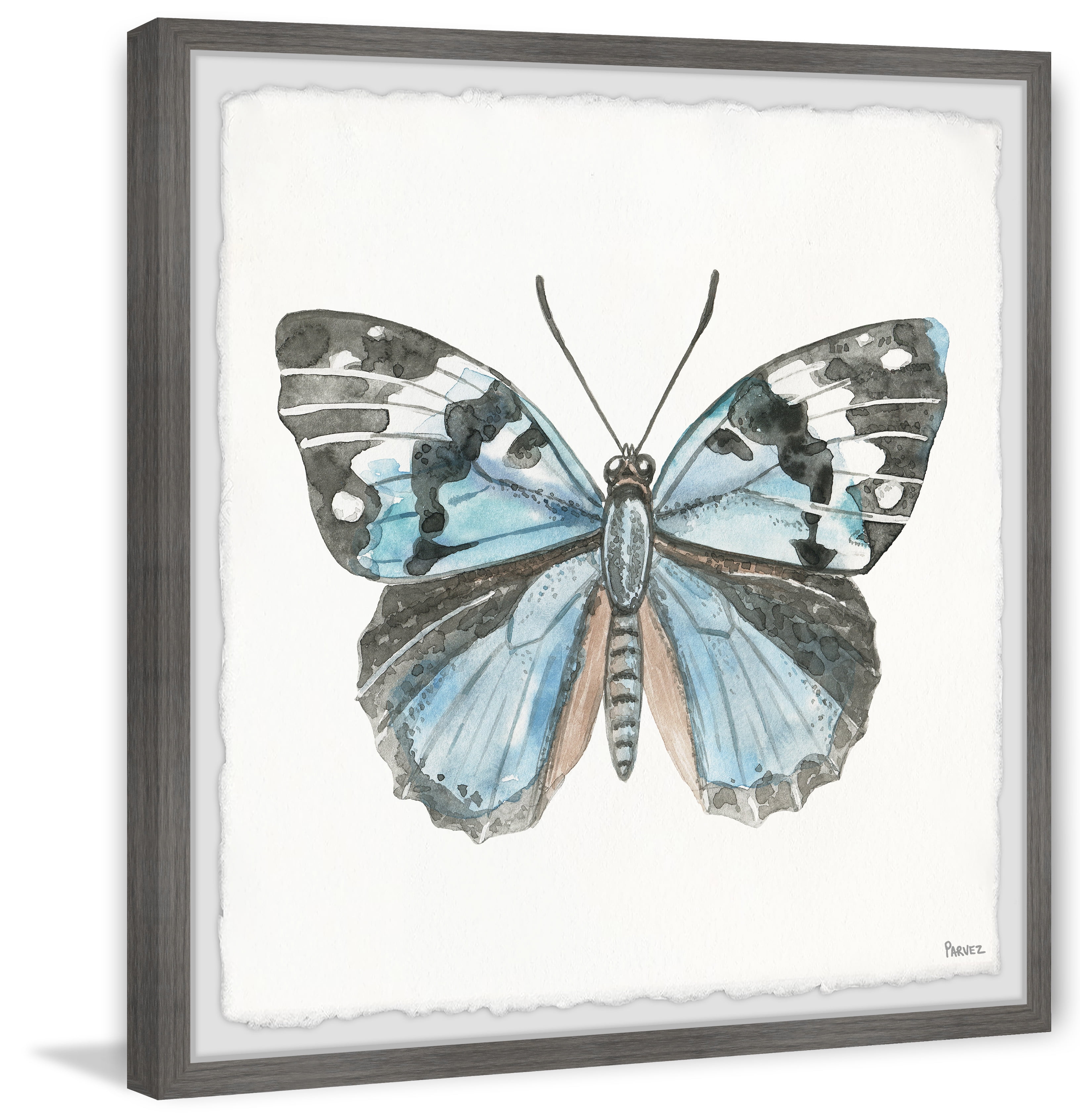 Parvez Taj Print Nature Framed Art Prints - Walmart.com