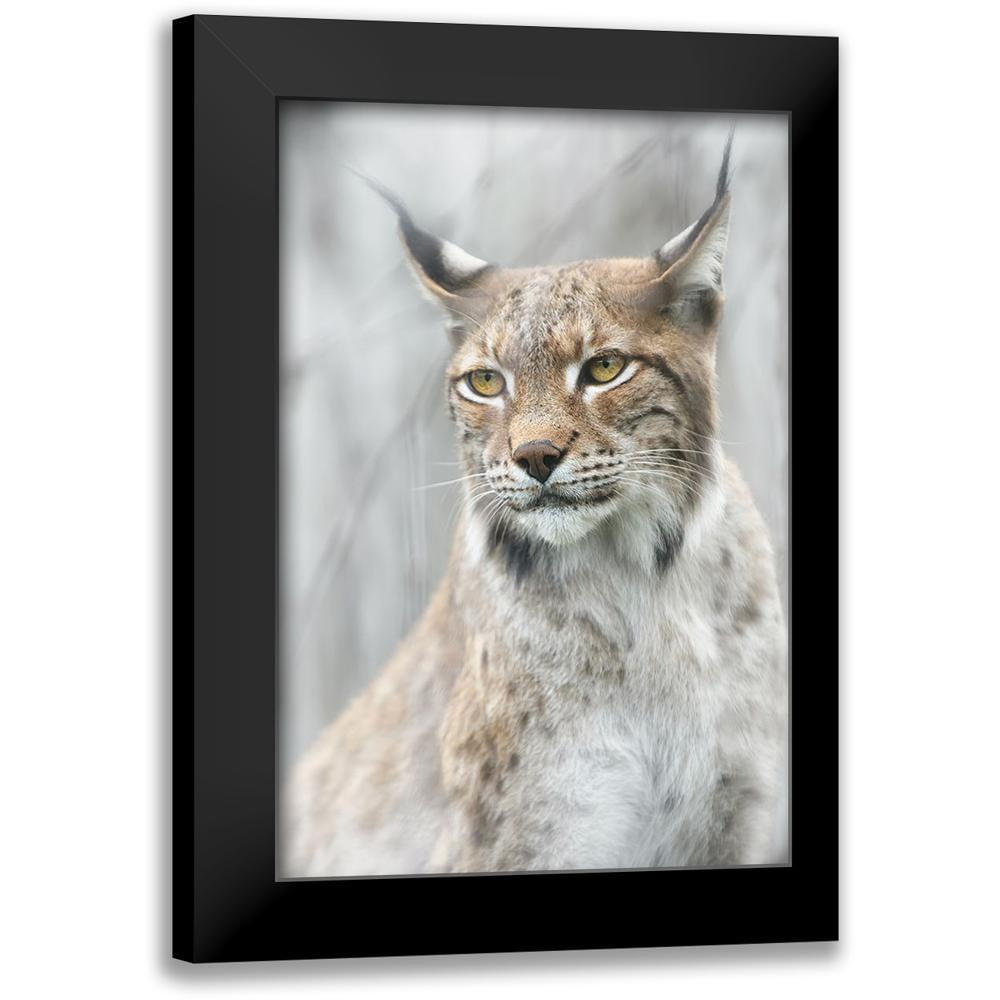 Pascual Buye, Santiago 17x24 Black Modern Framed Museum Art Print ...