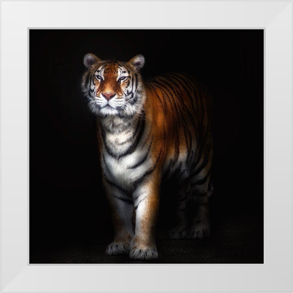 Pascual Buye, Santiago 20x20 White Modern Wood Framed Museum Art Print ...