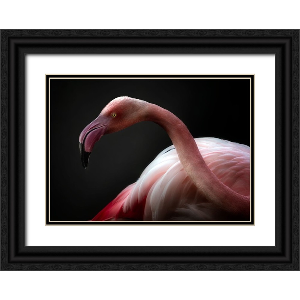 Pascual Buye, Santiago 32x24 Black Ornate Wood Framed with Double ...