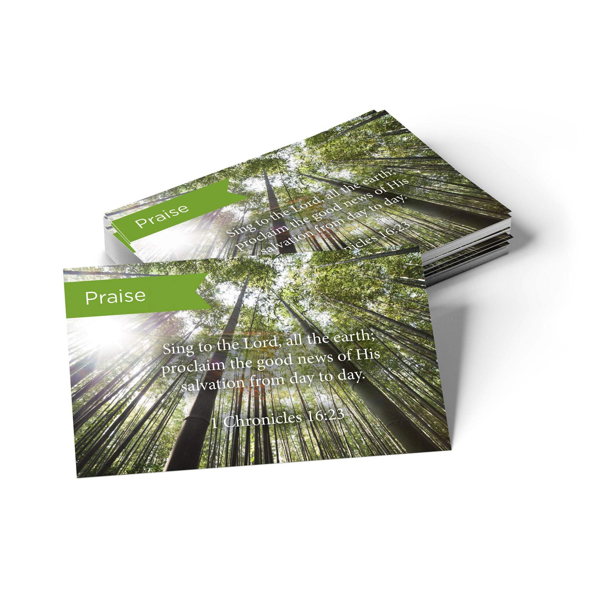 Pass Along Scripture Cards, Praise, 1 Chronicles 16:23, Pack 25 ...