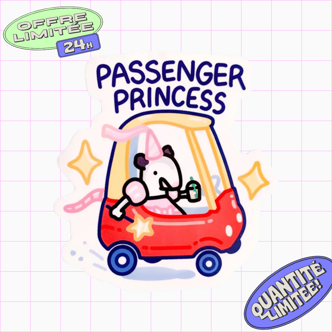 Passenger Princess Sticker | Cute Opossum Designated Driver Design ...