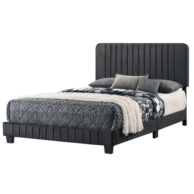 Passion Furniture Lodi Velvet Upholstered Channel Tufted Panel Bed ...