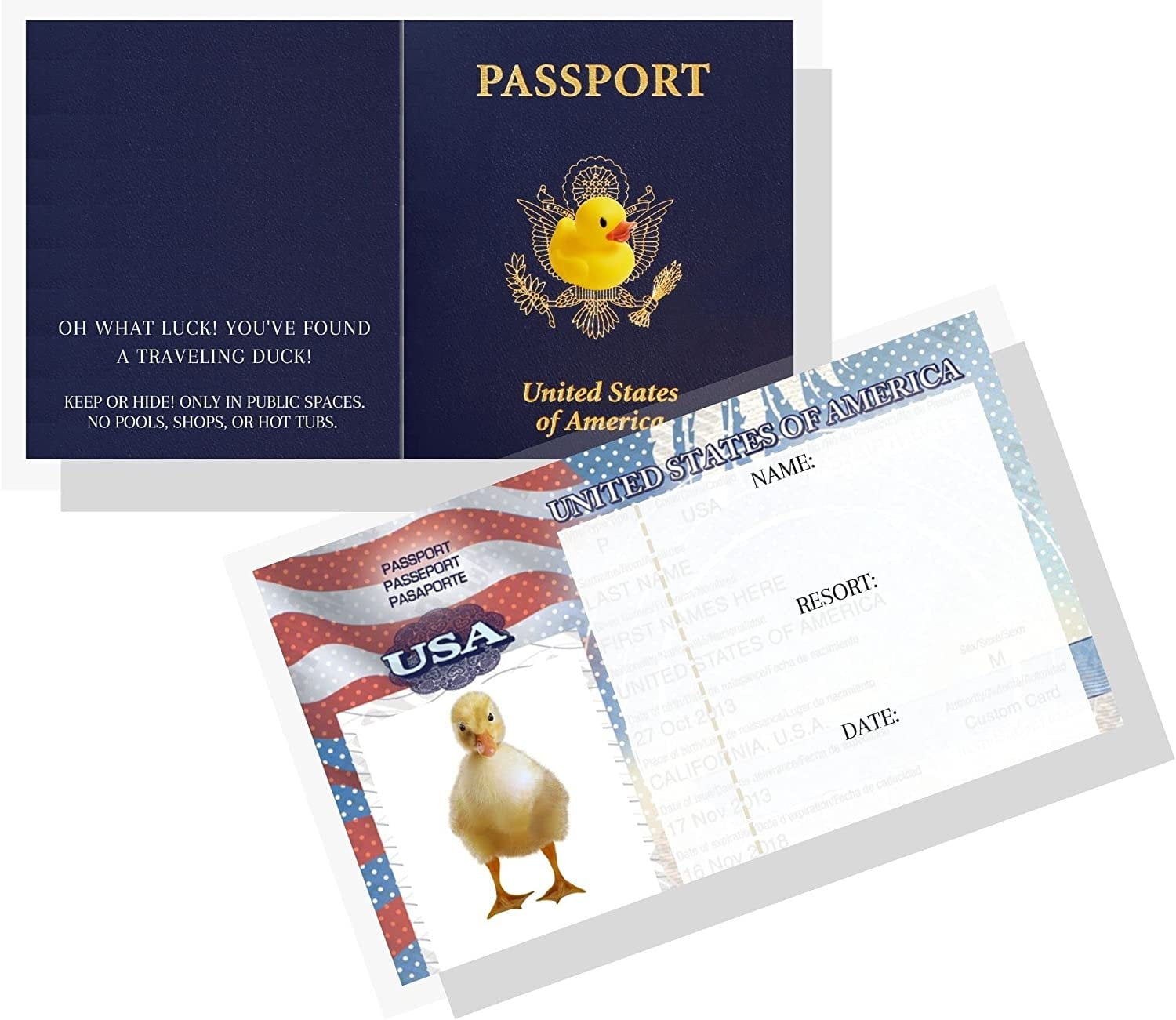 Passport Traveling Ducks Tag Hide at Resorts Mexico Game Attach to ...