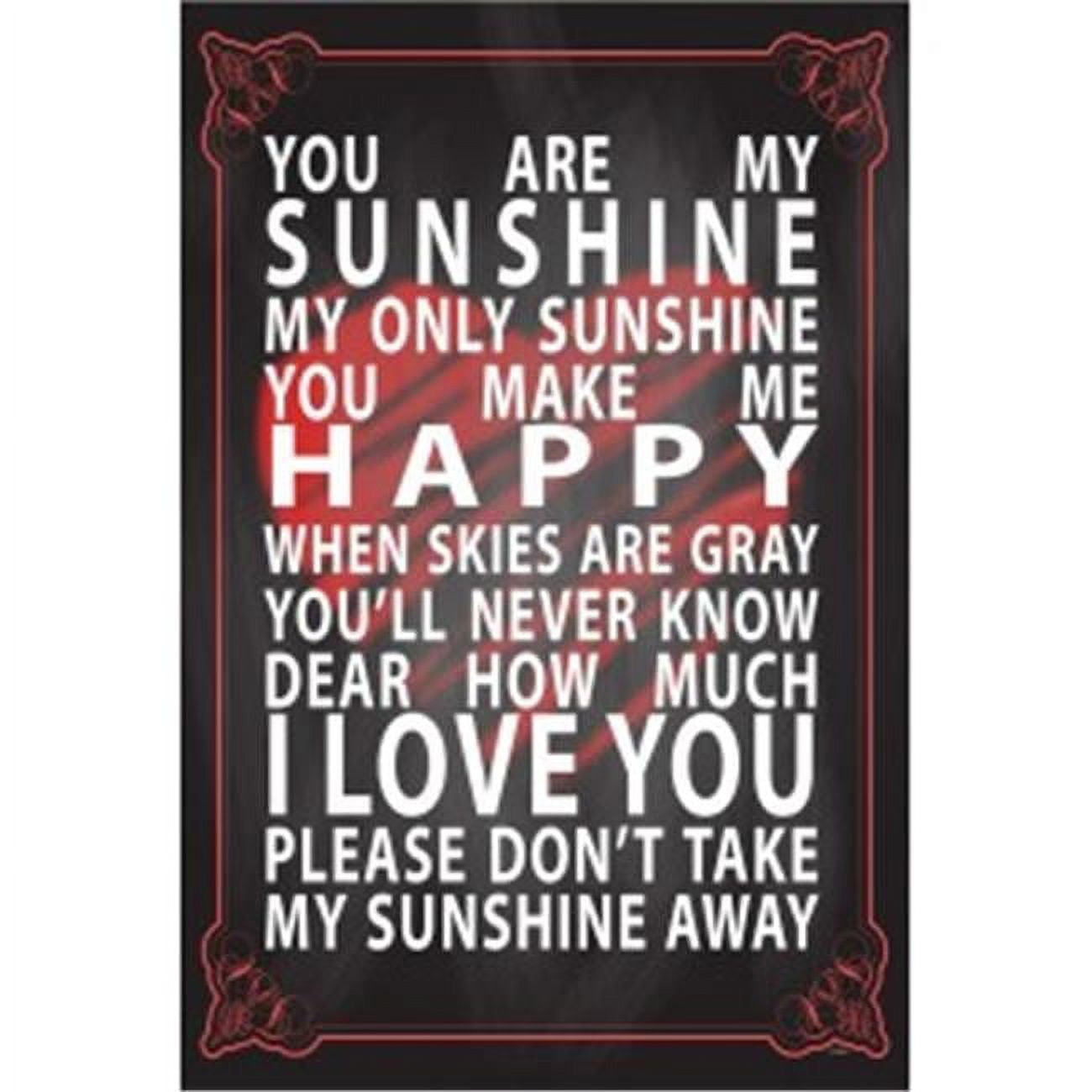 Past Time Signs 16 x 24 in. Chasing Woman Satin Metal Sign - Walmart.com