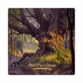 Past Time Signs BHB018 Old Man Willow Fantasy Metal Sign - Walmart.com