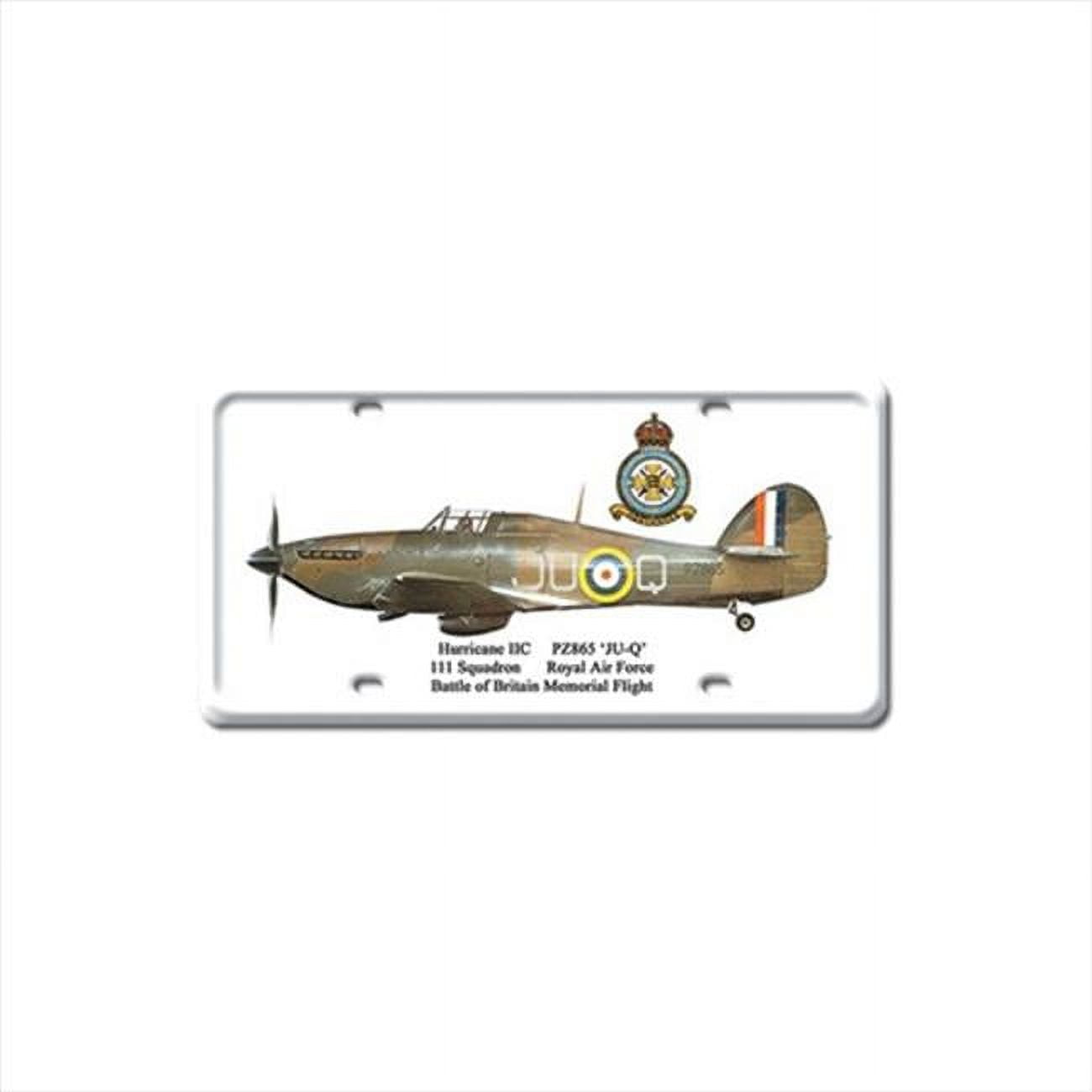 Past Time Signs DP009 Hurricane Iic Aviation License Plate - Walmart.com
