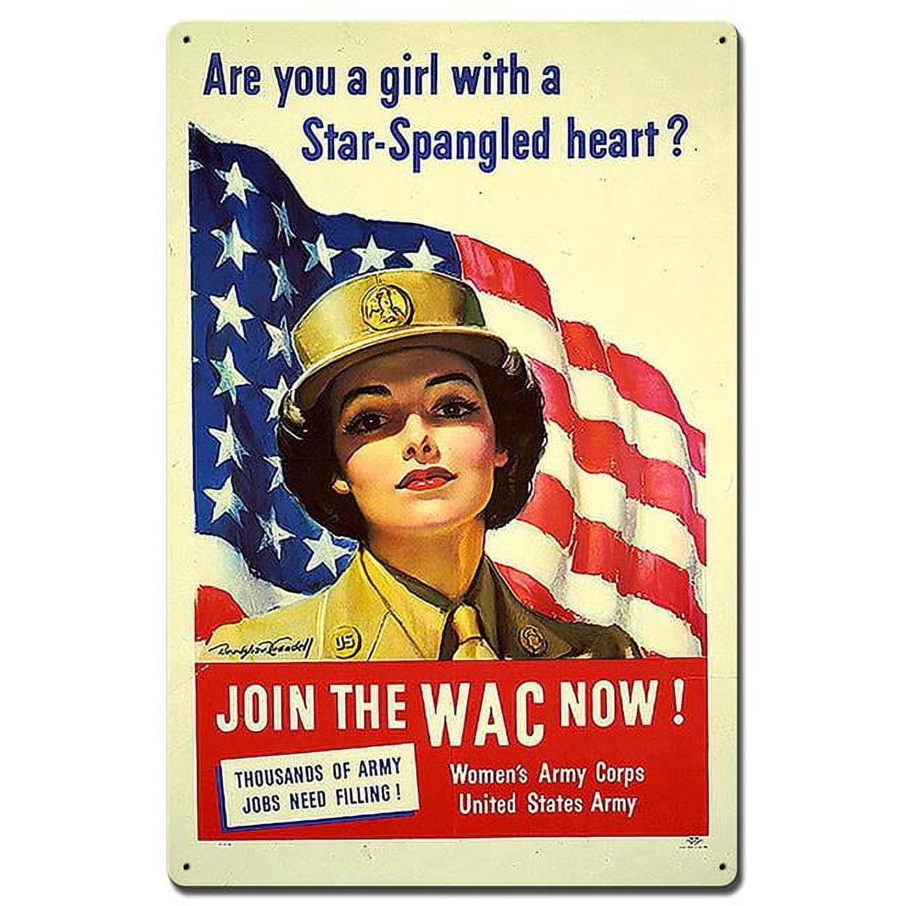 Past Time Signs PTS800 Are You Girl Star Spangled Satin Metal Sign - 24 ...