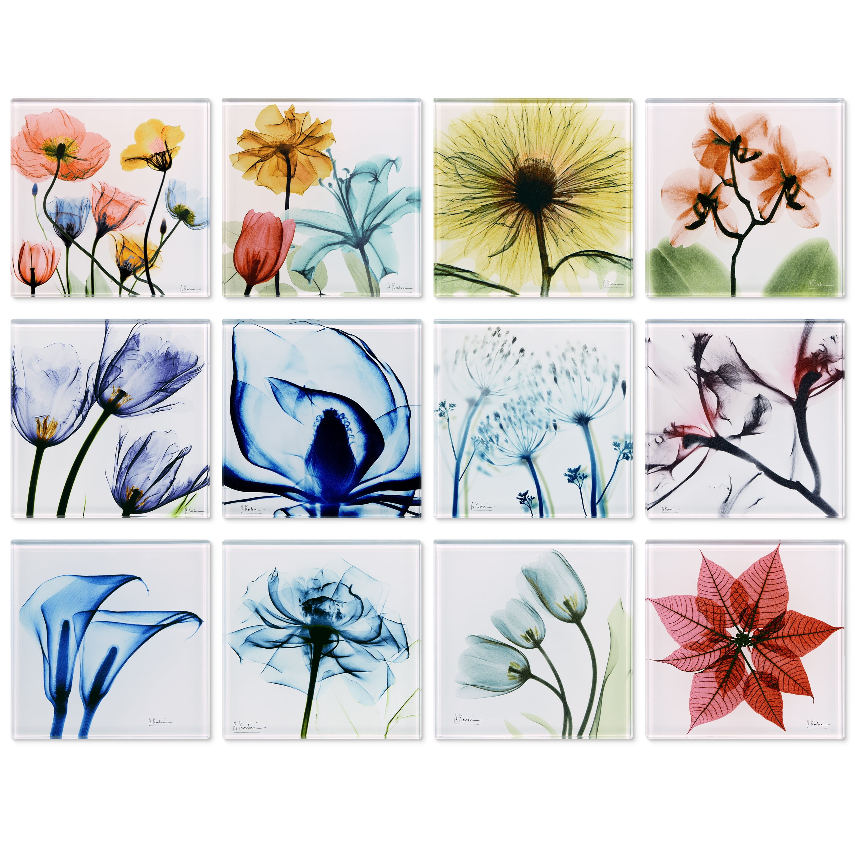 Pastel Fleurs Coasters Super White Glass Coasters with Cork Bottom ...