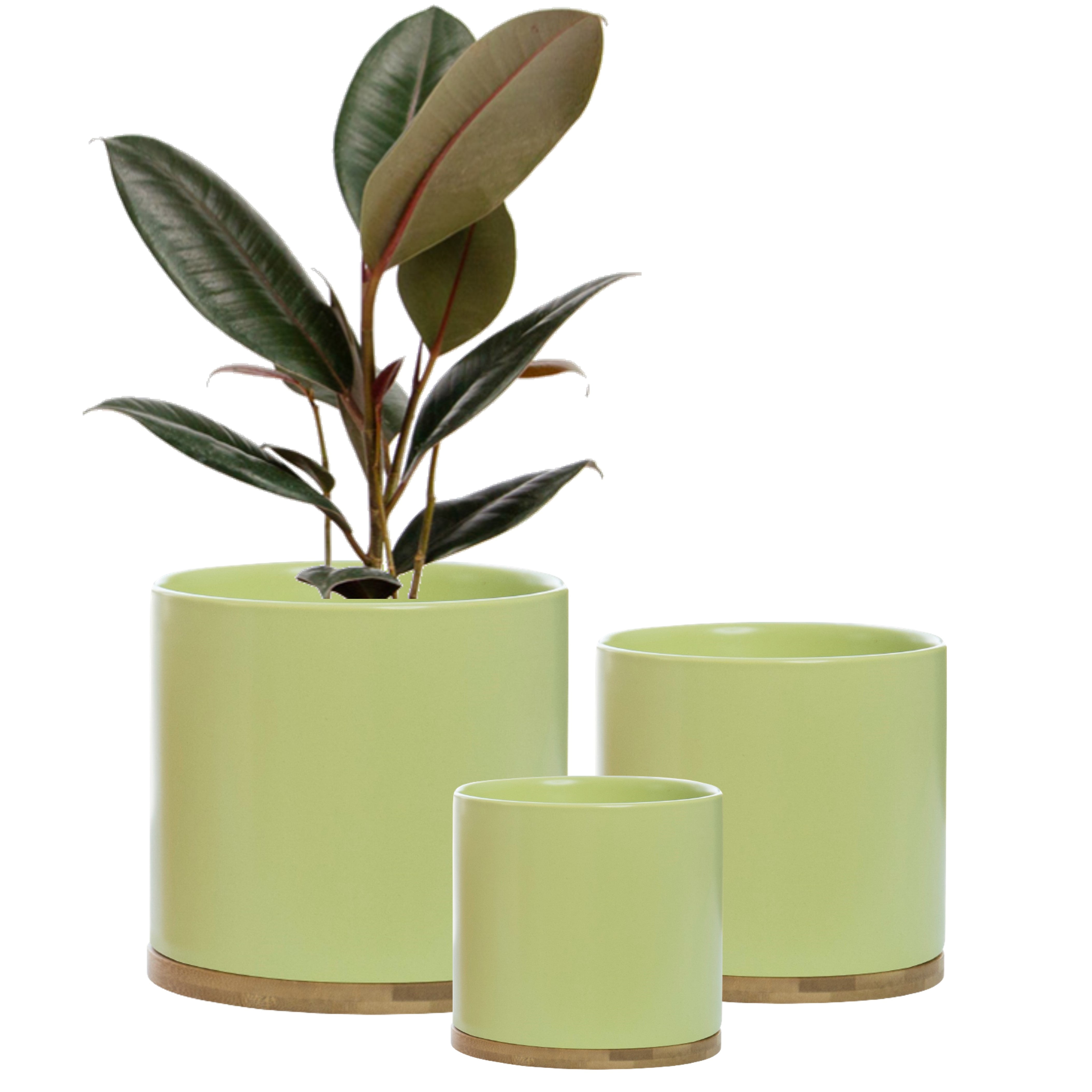 Olly & Rose 55” x 5” x 4” Pastel Green Ceramic Plant Pots & Planters ...