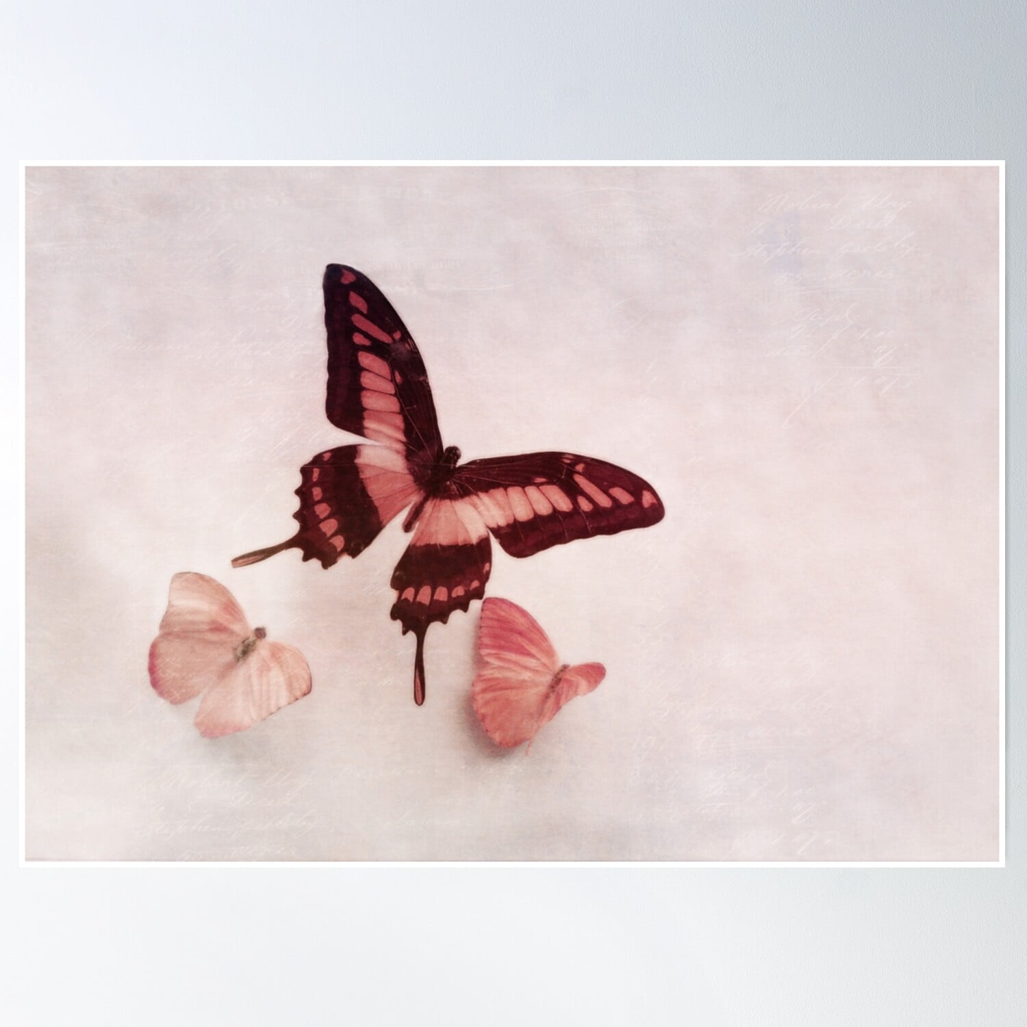 Pastel Pink Butterflies Poster Wall Art, Modern Wall Decor, 12x18 ...