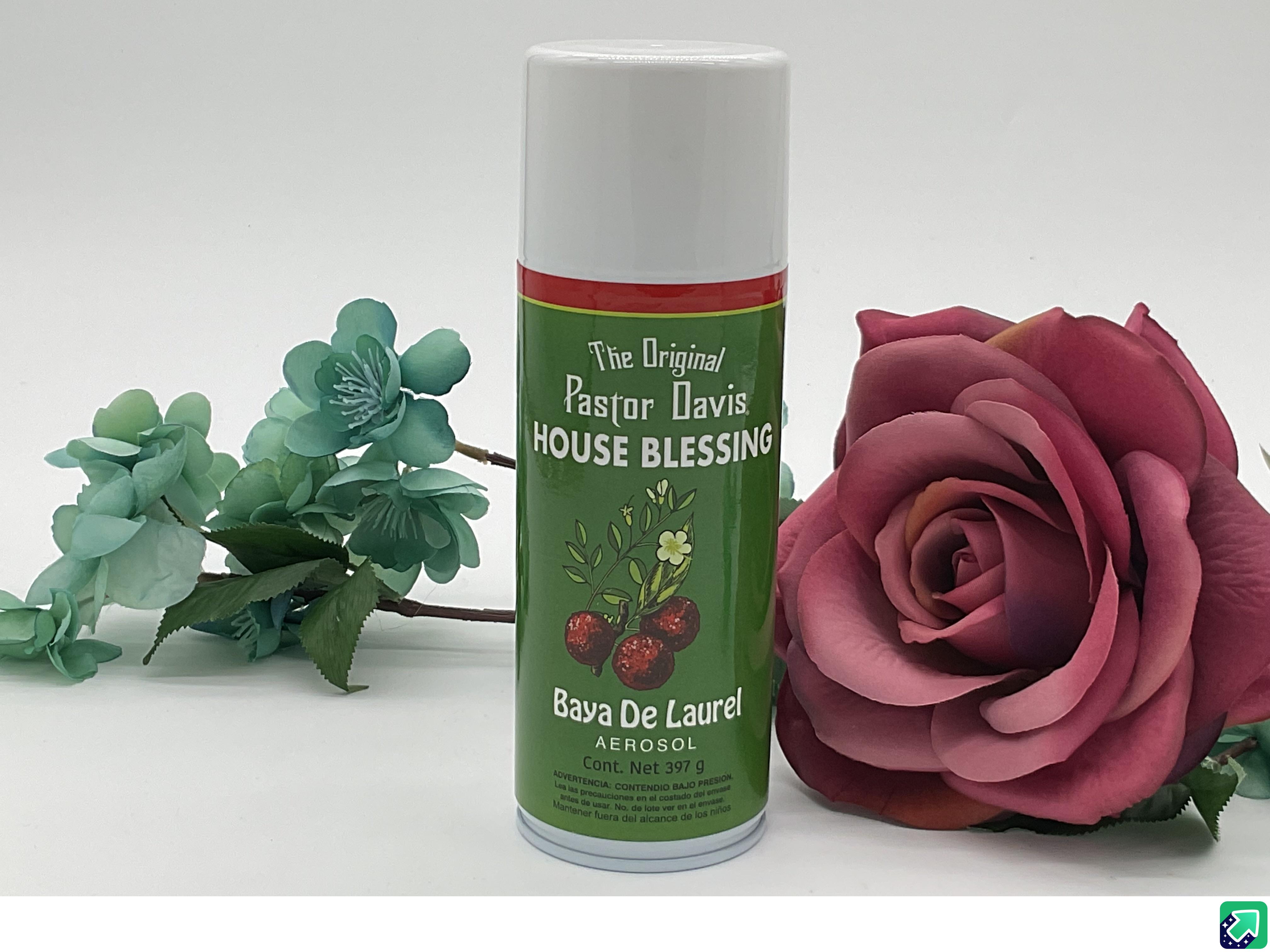 Pastor Davis House Blessing Bayberry Spray - Walmart.com