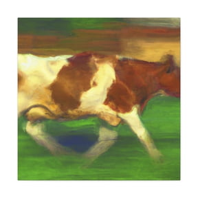 Jersey Cows Photos