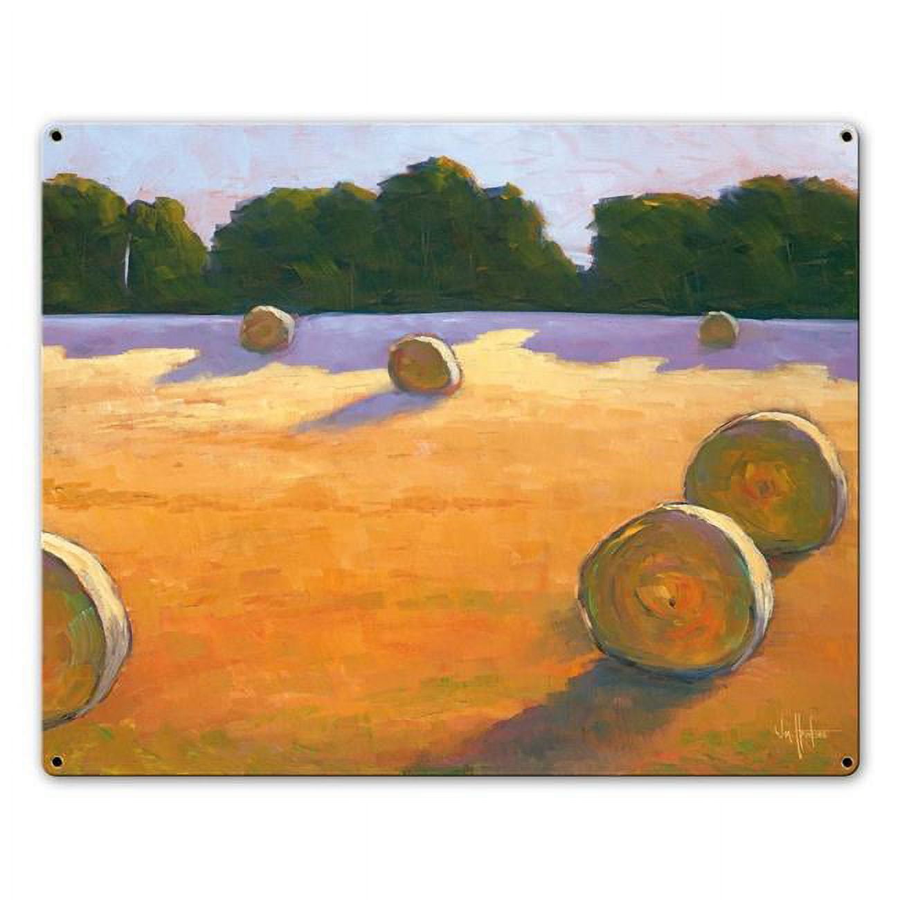Pasttime Signs HAWK008 20 x 16 in. Custom Shape - While The Hay Shines ...