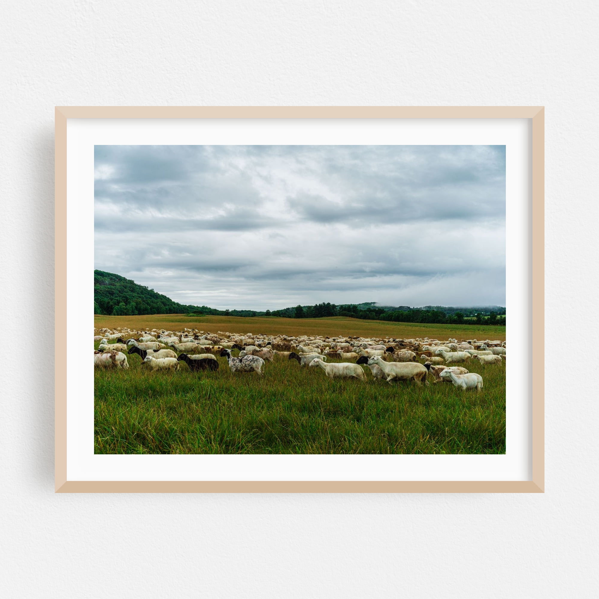Pasture - Photography Pastoral Countryside Farm Rural Nature Landscape ...