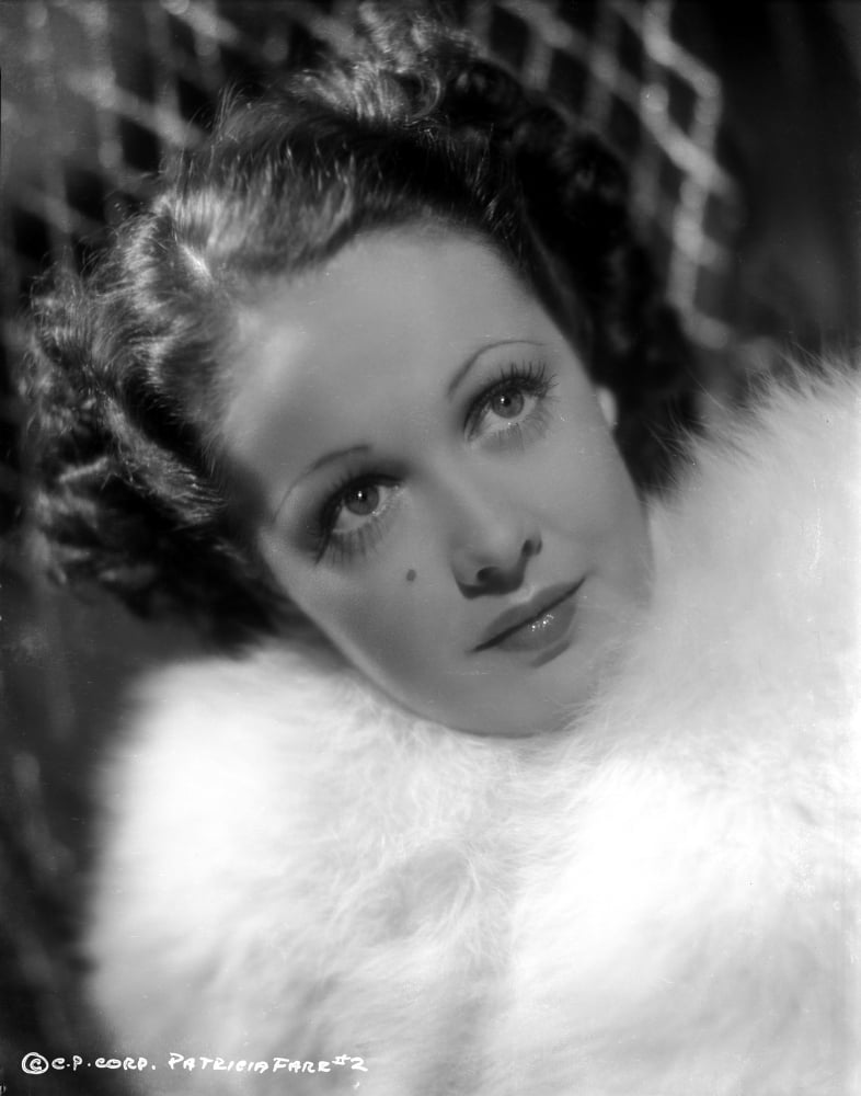 Pat Farr Covered with Furry Cloth Lying Portrait Photo Print (24 x 30 ...