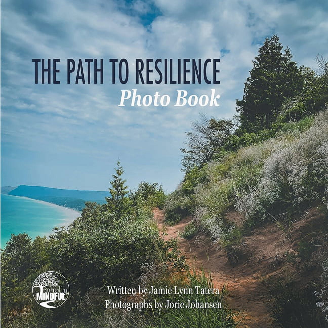 Path to Resilience Photo Book - Walmart.com
