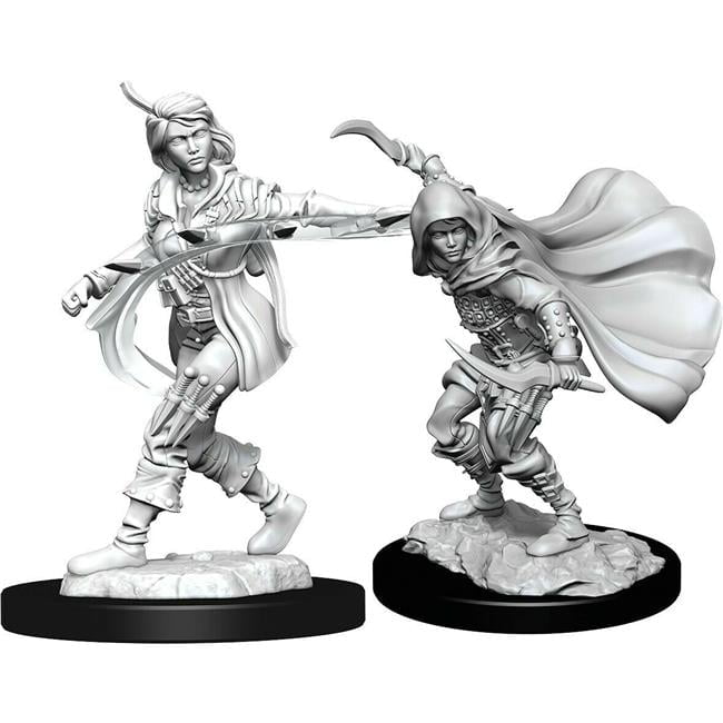Pathfinder Deep Cut Human Rogue Female W14 Miniature - Walmart.com