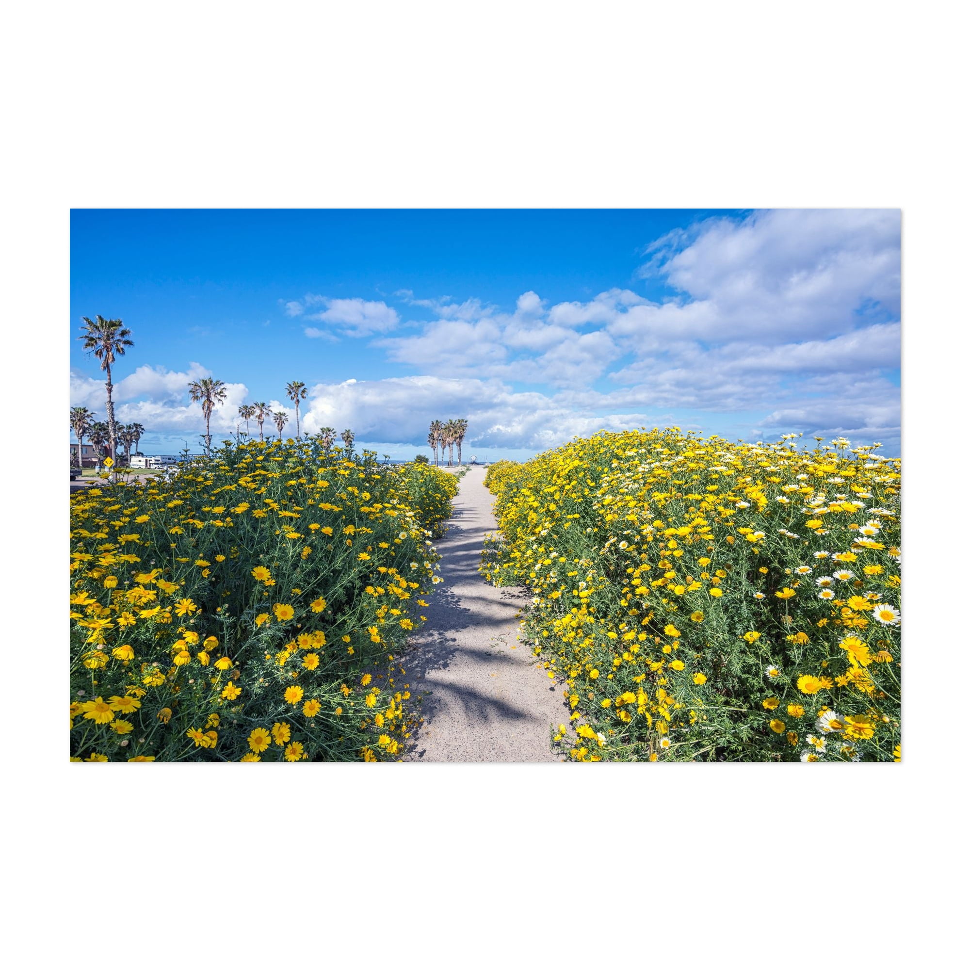 Pathway to Sunshine - San Diego California Photography Unframed Wall ...