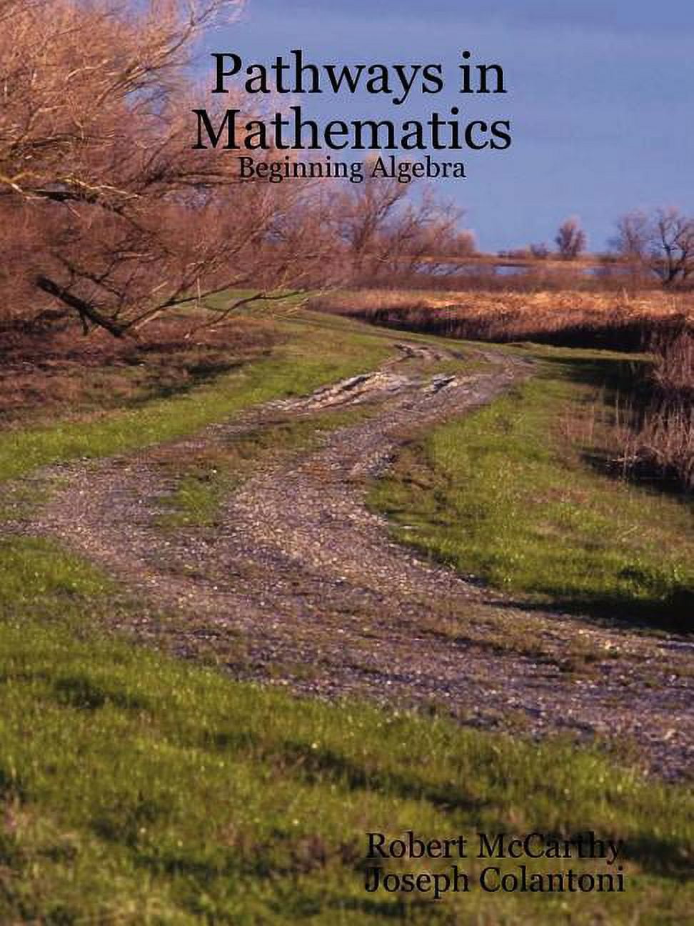 Pathways in Mathematics - Beginning Algebra (Paperback) by Robert ...