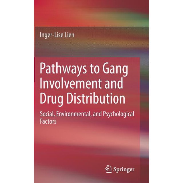 Pathways to Gang Involvement and Drug Distribution: Social ...