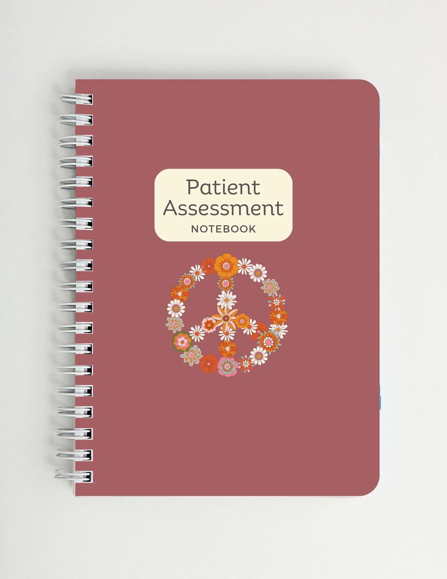 Patient Assessment Nurse Report Notebook - Walmart.com