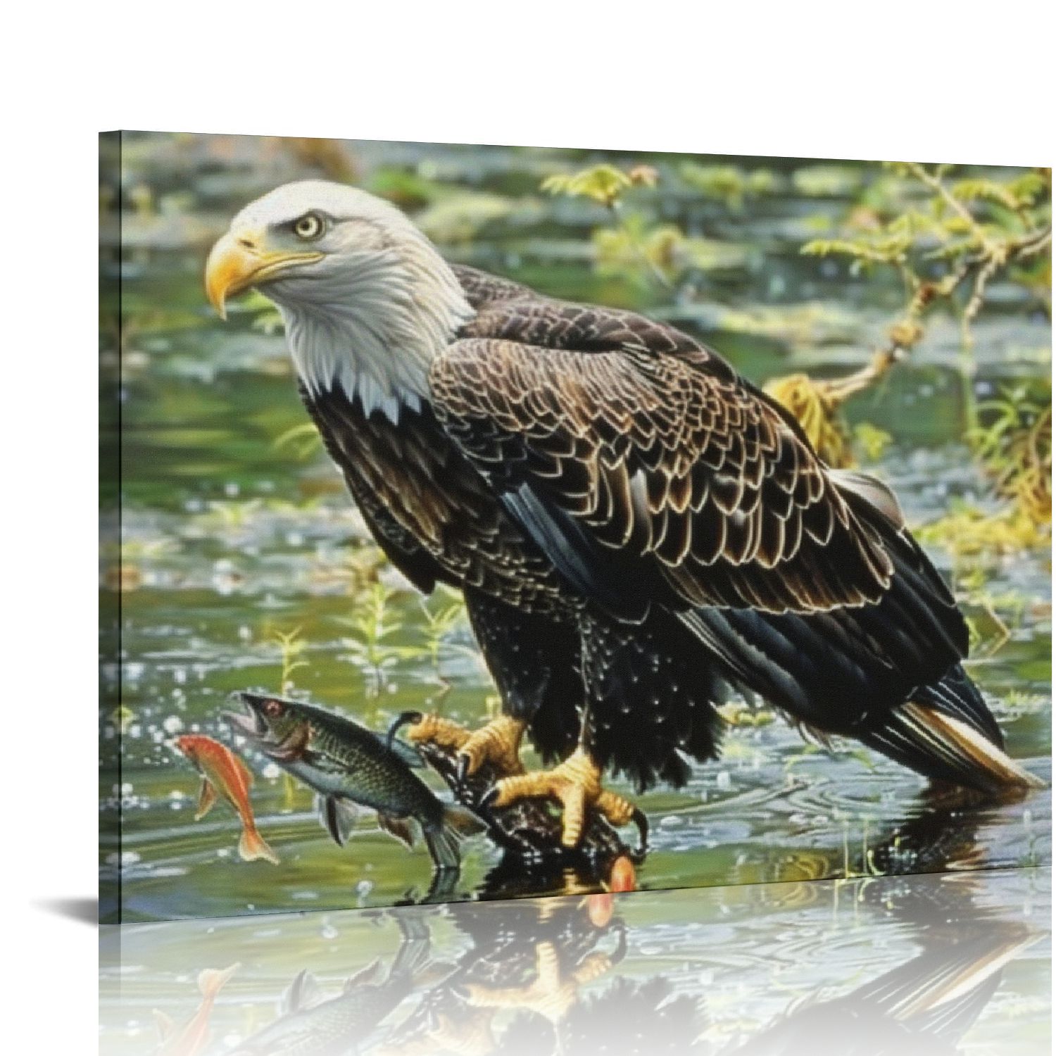 Patifu Bald Eagle Fish Swamp Fine Art Aesthetics for Classroom Kitchen ...