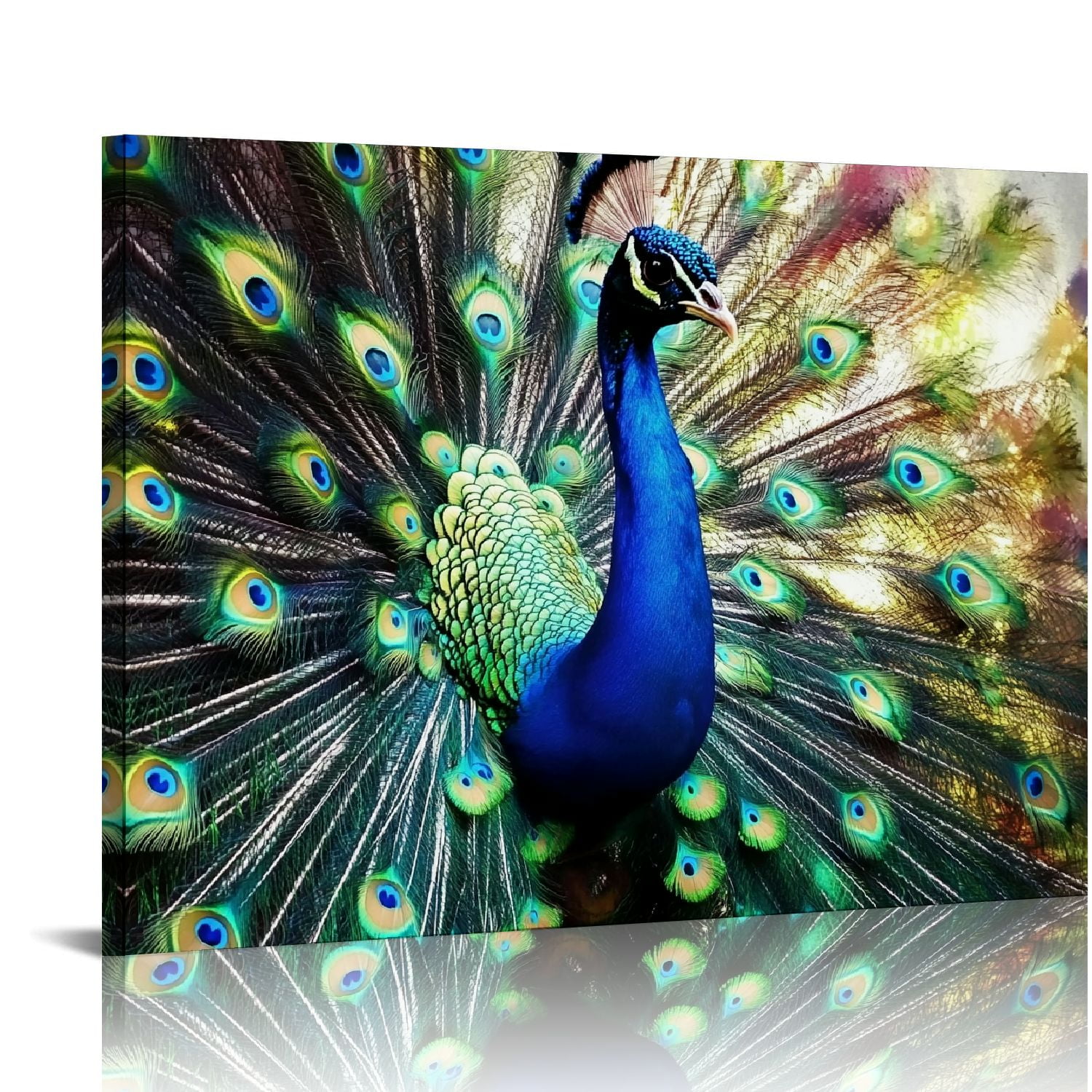 Patifu Peacock Wall Art Peacock Feather Wall Decor Indoor art wall ...