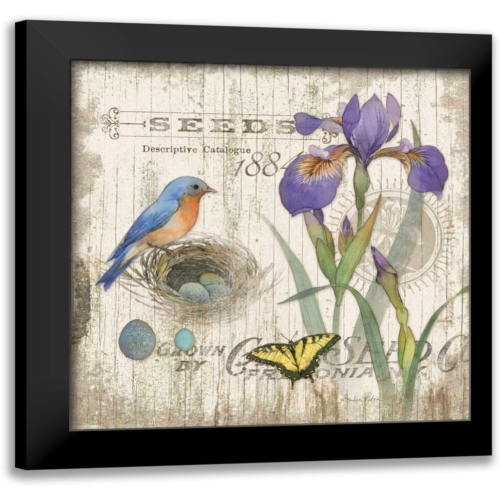 Paton, Julie 15x15 Black Modern Framed Museum Art Print Titled ...