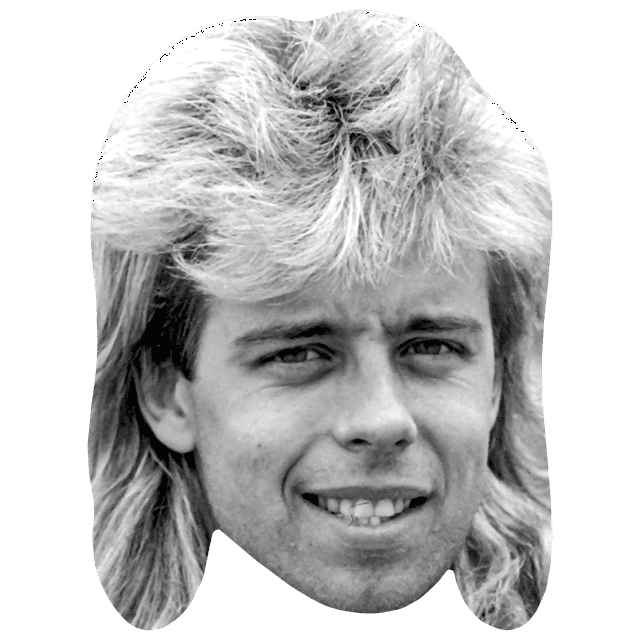 Patrick Sharpin (Mullet) Big Head. - Walmart.com