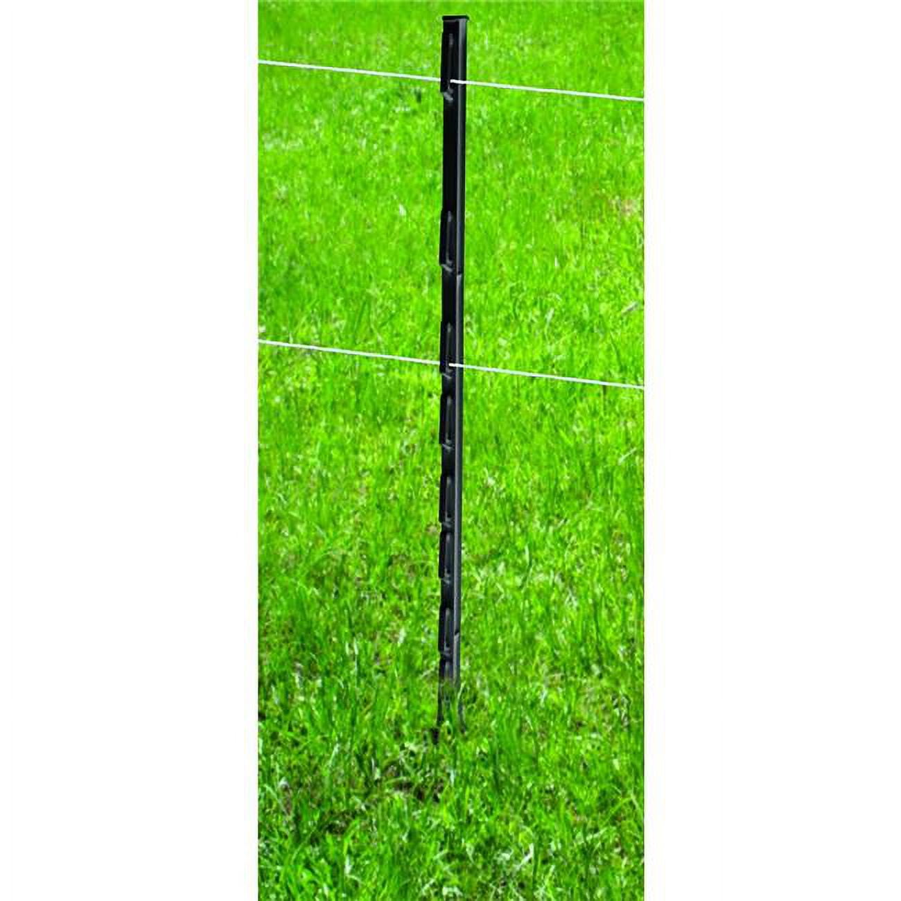 Patriot - SENTINEL Plastic Tread-In Post - Black (50pk) - Walmart.com