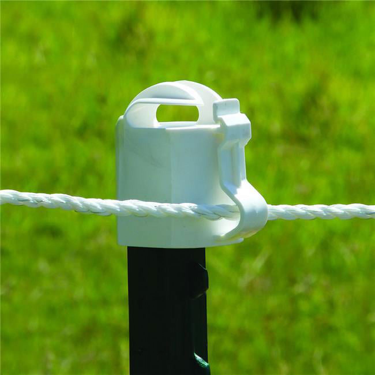 Patriot T-Post Topper - White, Pack of 10 - Walmart.com