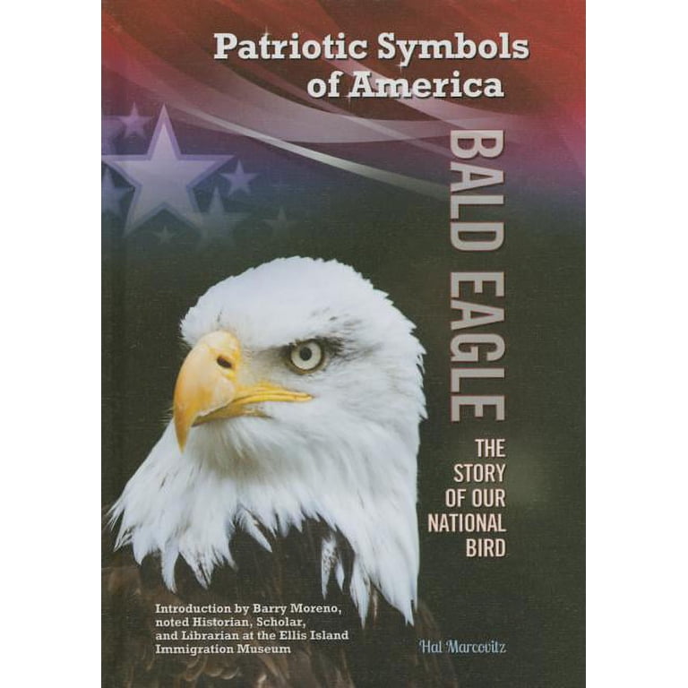 Bald Eagle Patriotic Symbol Majestic Bald Eagle American Flag Pattern