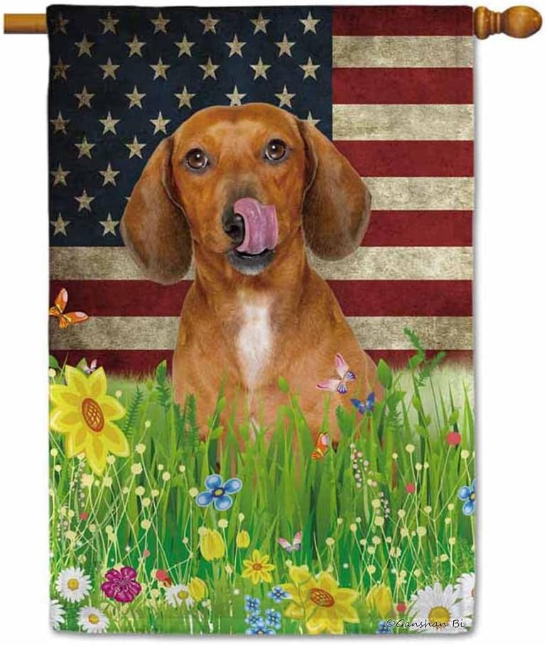Patriotic US Flag Dachshund House Flag Dog Wildflowers Floral Spring ...