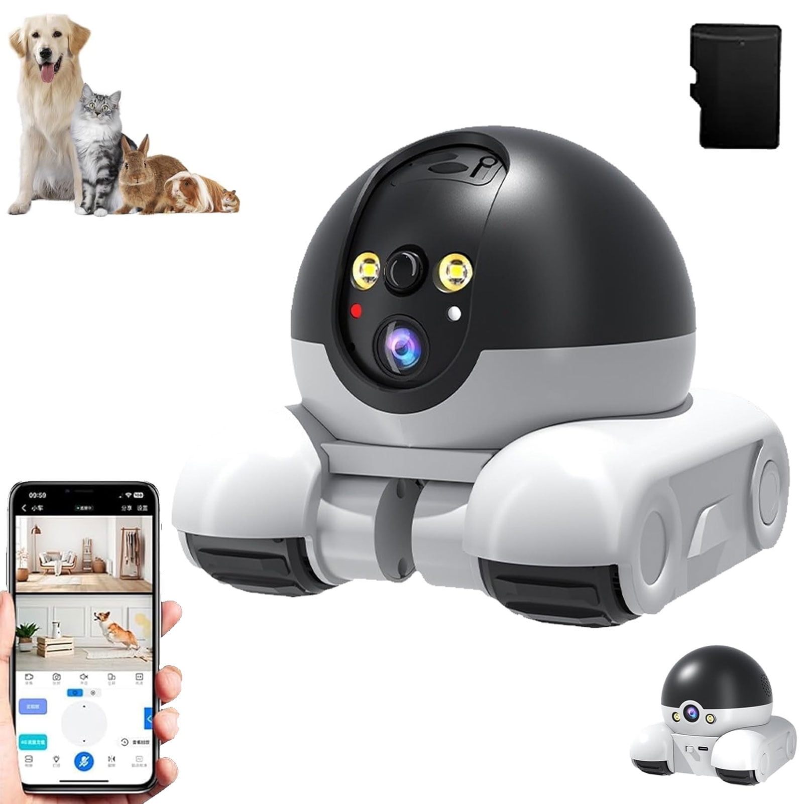 Patrol Buddy Ebo Robot Camera, Indoor Movable Robot Camera on Wheels ...