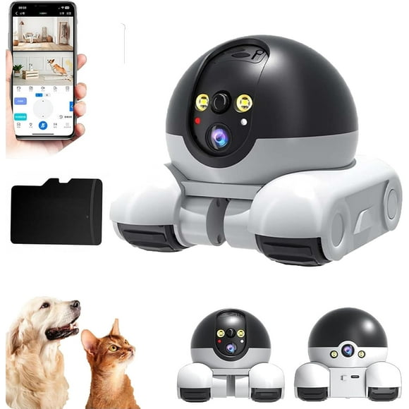 Robot Camera On Wheels