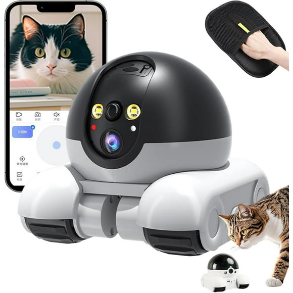 Robot Camera On Wheels