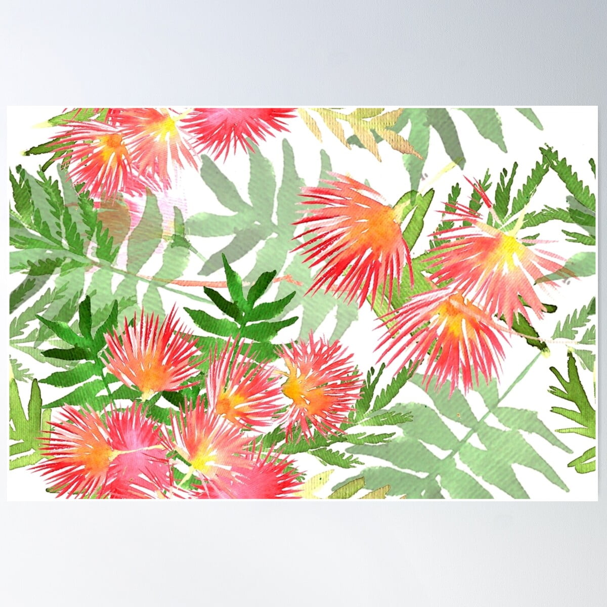 Pattern Mimosa Albizia Julibrissin Foliage And Flowers Poster Wall Art ...