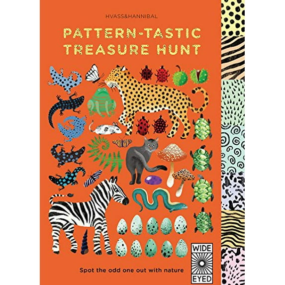 Pre-Owned Pattern-Tastic Treasure Hunt: Spot the Odd One Out with ...