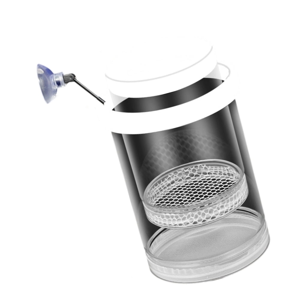 PatungKu Multiple Species Fish Hatchery Box Mesh Structure Water Flows ...