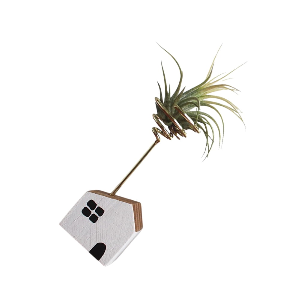 PatungKu Wood Home Air Plant Stand Desktop Display Home Office ...