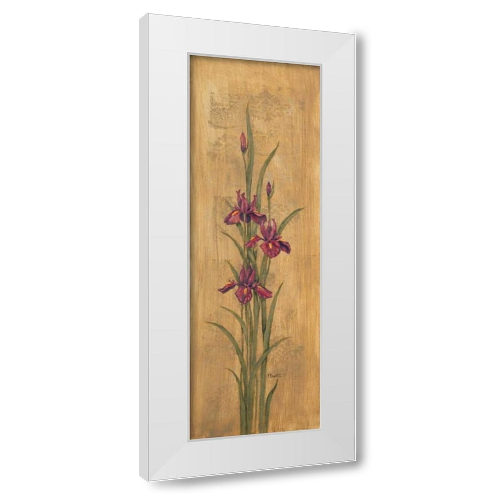 Paul Brent 13x32 White Modern Wood Framed Wall Art Titled - Iris of ...
