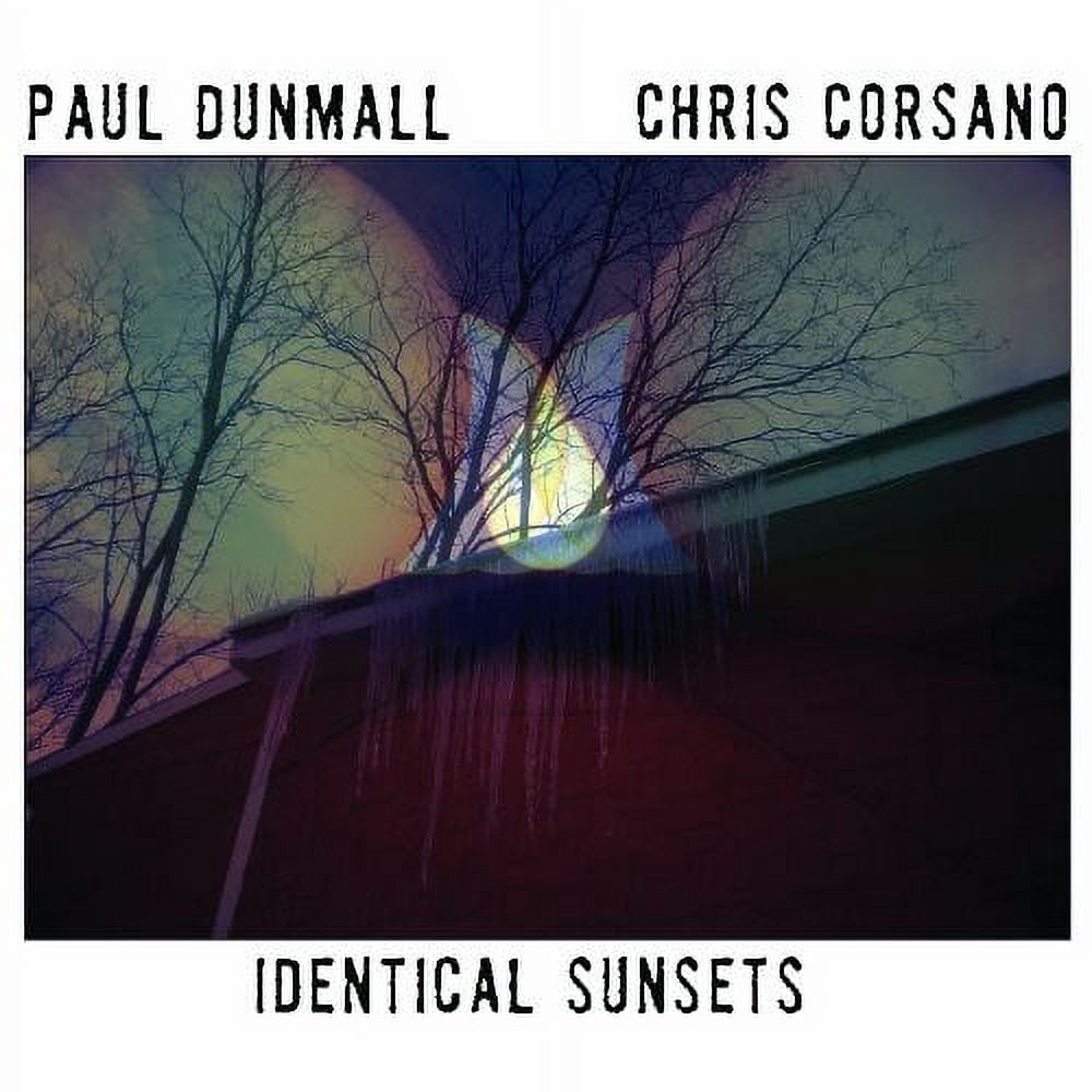 Paul Dunmall - Identical Sunsets - Jazz - Vinyl - Walmart.com