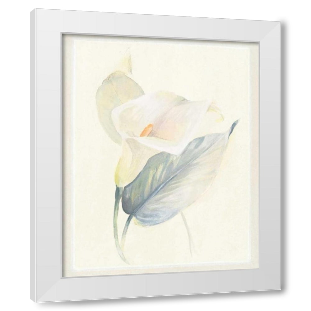 Paul Hargittai 12x14 White Modern Wood Framed Wall Art Titled - Calla ...